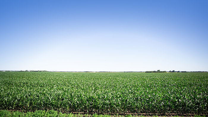 Home - Manitoba Crop Alliance