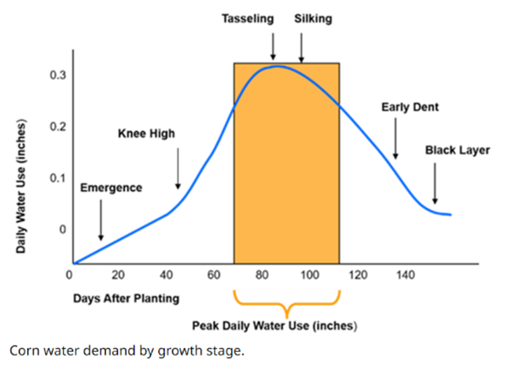 Corn Facts: Drought and Harvest 2023 - Manitoba Crop Alliance