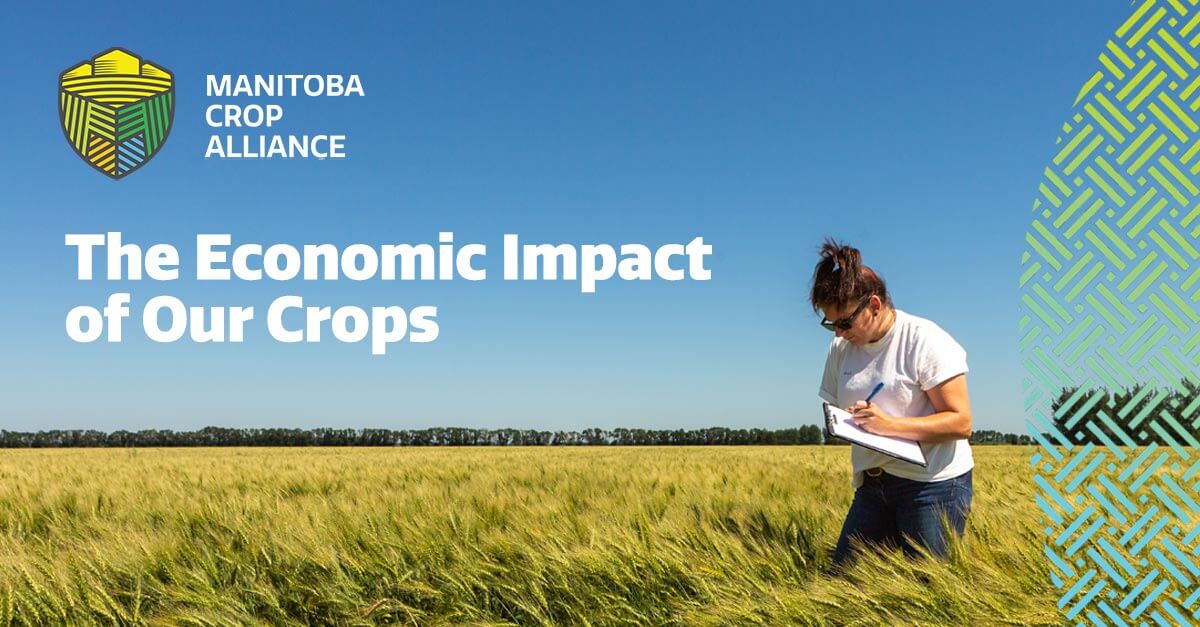 The Economic Impact of Our Crops - Manitoba Crop Alliance