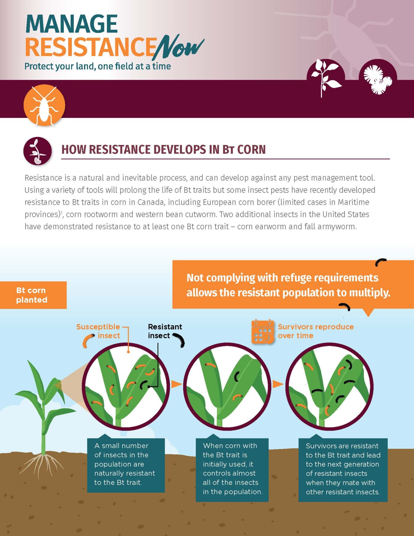 Agronomy & Extension – Special Crops – Manitoba Crop Alliance