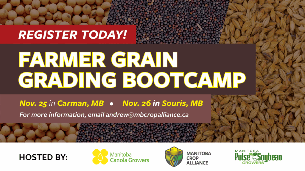 Farmer Grain Grading Bootcamp – Manitoba Crop Alliance